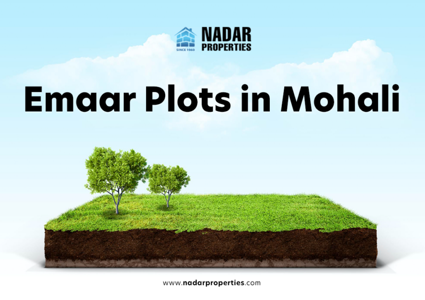 5 Reason Why you should invest in Emaar Plots in Mohali